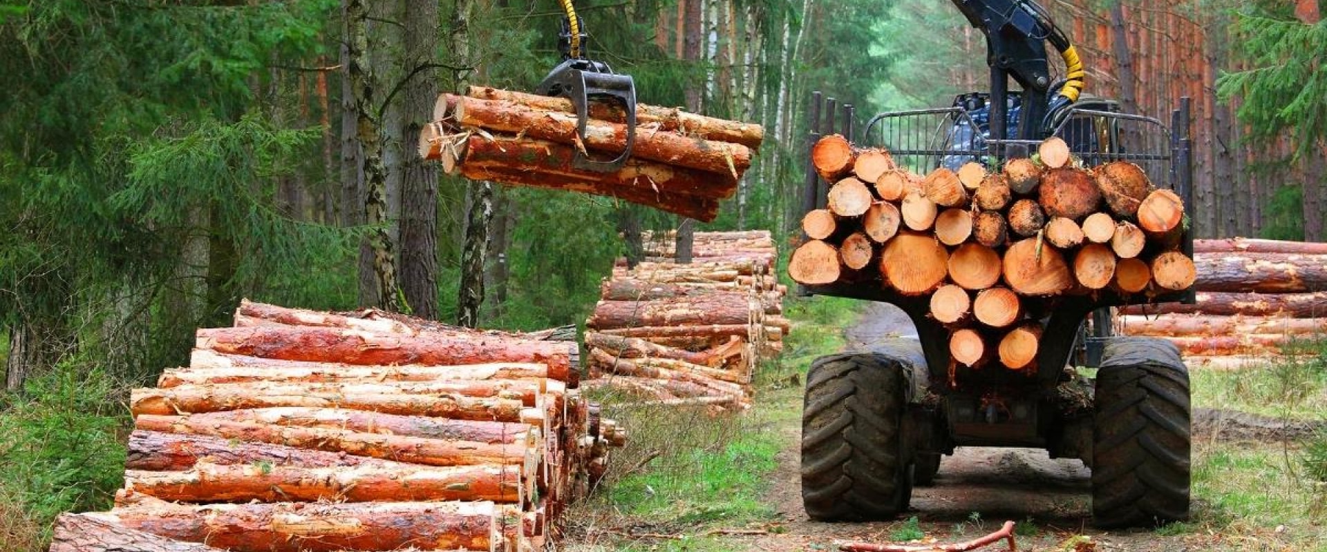 Logging and Harvesting: An Overview
